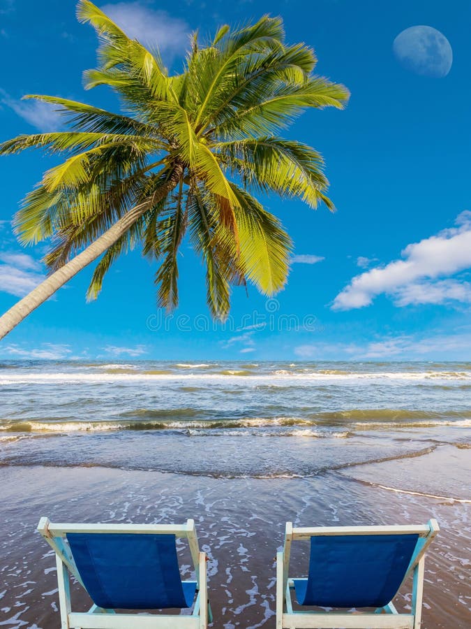 Vacation holiday at beach stock photo. Image of water - 37583212