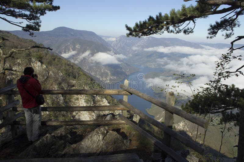 Mountain Tara, One Of The Tourism Centers In Serbia. Stock Photo ...