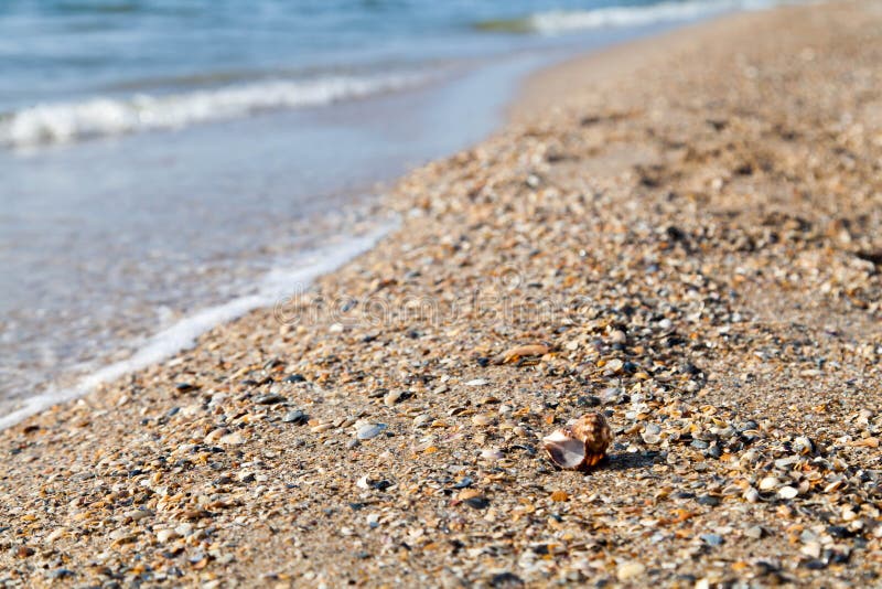 Vacation Relax Concept, Sea Landscape with Shell and Waves Stock Image ...