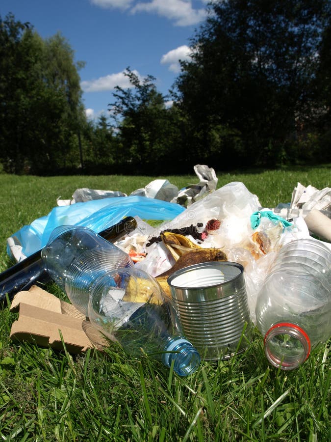 Basura En El Bosque, Basura En La Naturaleza, Contaminación Del Medio ...