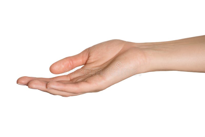 Vacie La Mano Abierta De La Mujer Aislado Foto de archivo - Imagen de ...