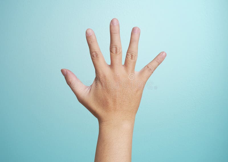 Vacie La Mano Abierta Del Hombre Imagen de archivo - Imagen de adulto ...