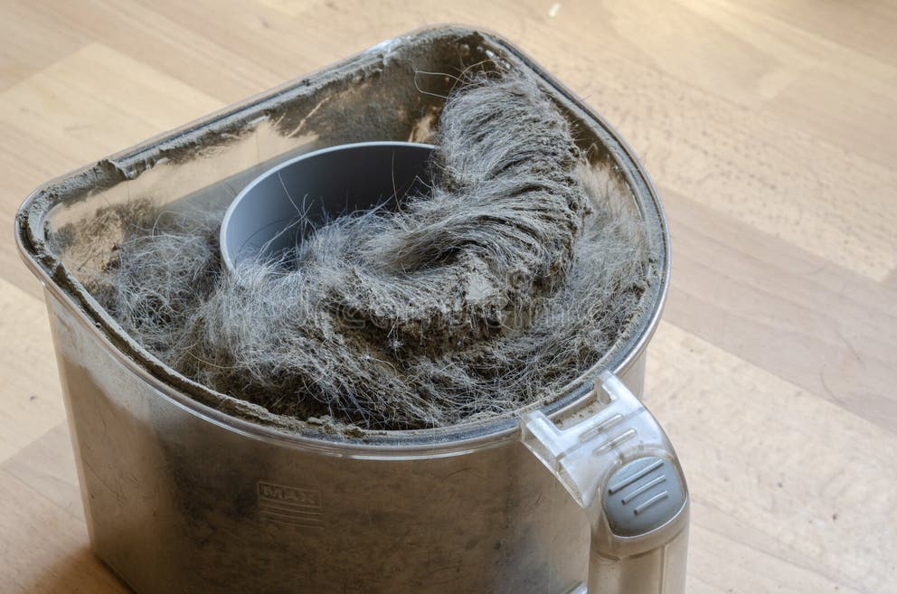 Vacuum Cleaner Container with Garbage Stock Photo - Image of house ...