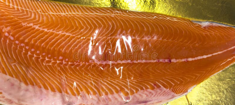Vacuum Packaged Salmon Fish Isolated on White Background Stock Image ...