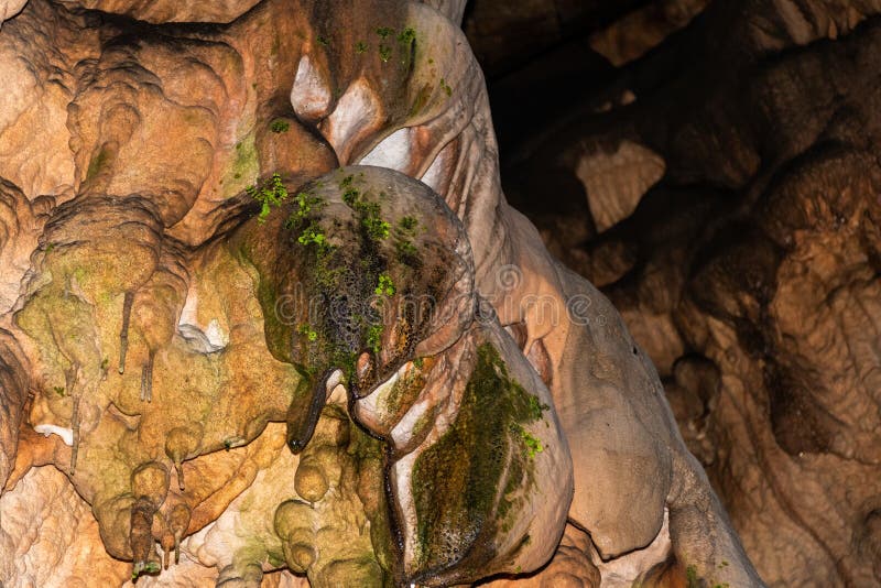 Vadu Crisului cave stock photo. Image of padurea, cavern - 228046830