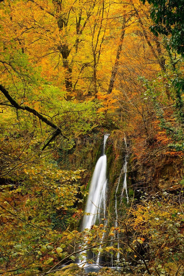 Waterfall in autumn forest stock image. Image of woods - 261053349