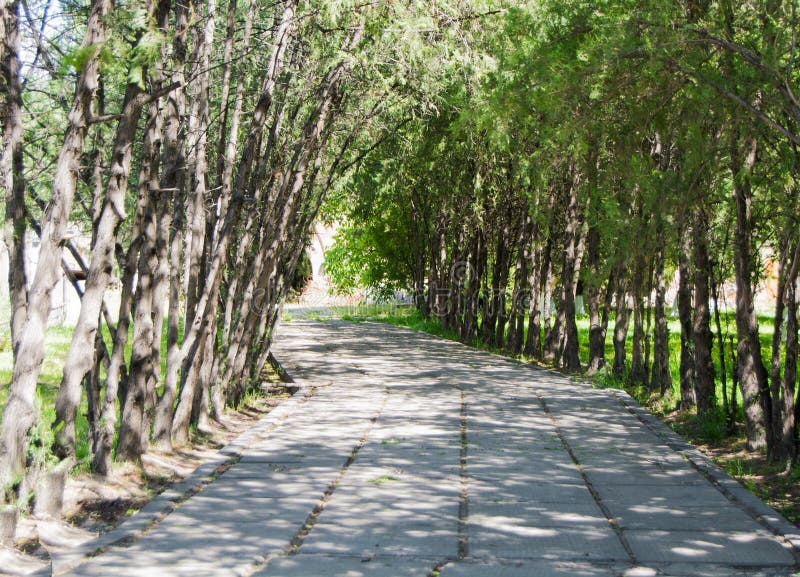 Vagharshapat garden stock image. Image of armenian, rest - 72414113