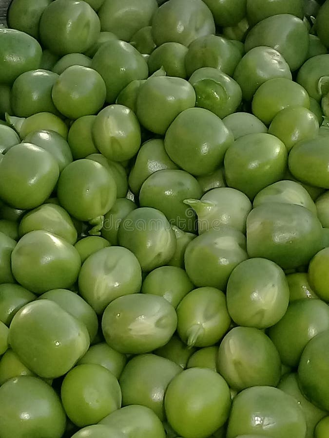 Vagitable Stock Photos - Free & Royalty-Free Stock Photos from Dreamstime