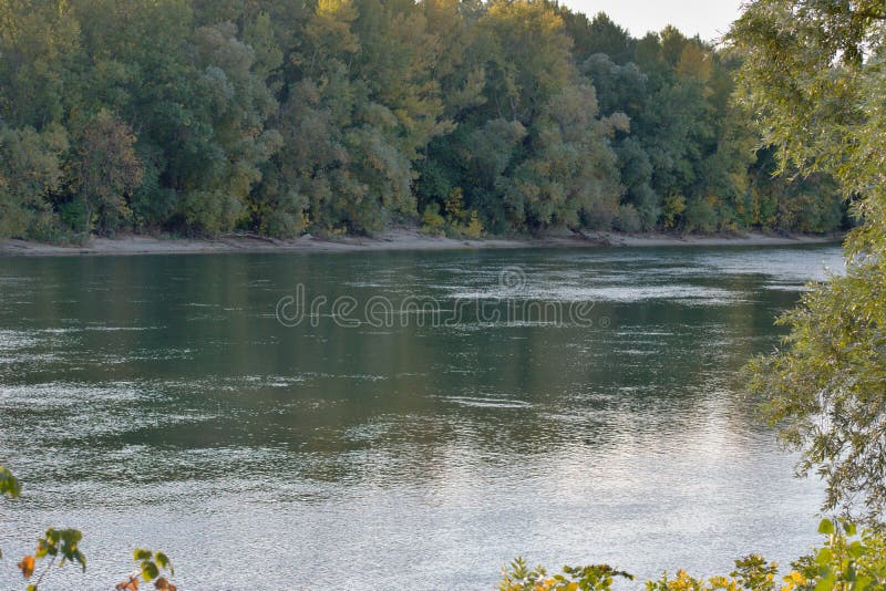 Váh- river stock image. Image of forest, bright, leaves - 101645321