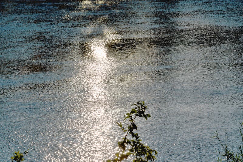 Váh - river stock image. Image of forest, bright, leaves - 101645321