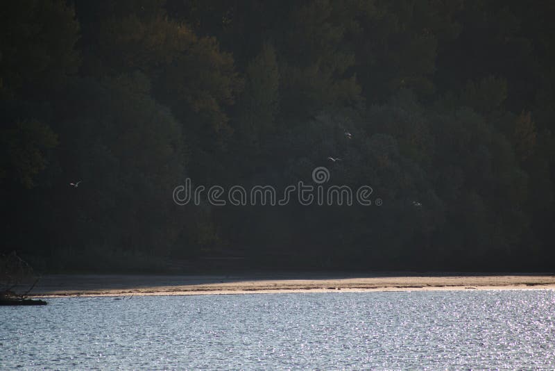 Váh - river stock photo. Image of beautiful, outdoor - 101648948