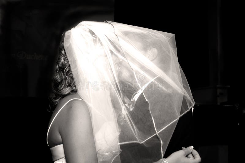 Vailed Love Picture. Image: 1294876