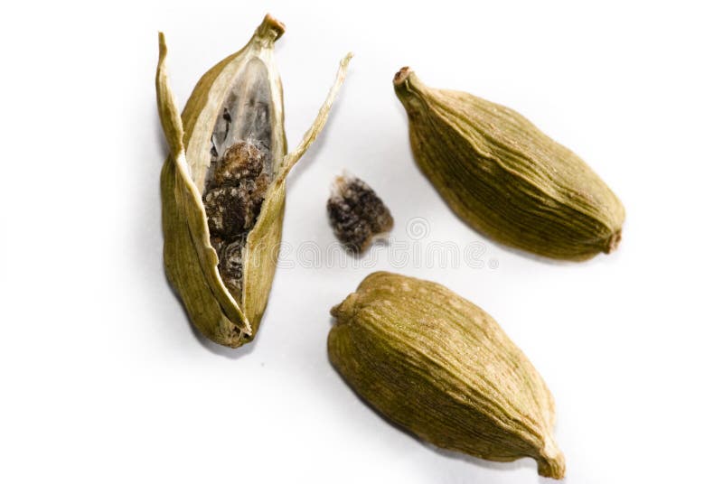 Vainas del cardamomo imagen de archivo. Imagen de verde - 13196661