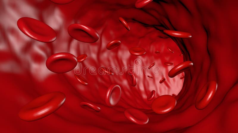 Vaisseau sanguin illustration stock. Illustration du récipient - 99400125