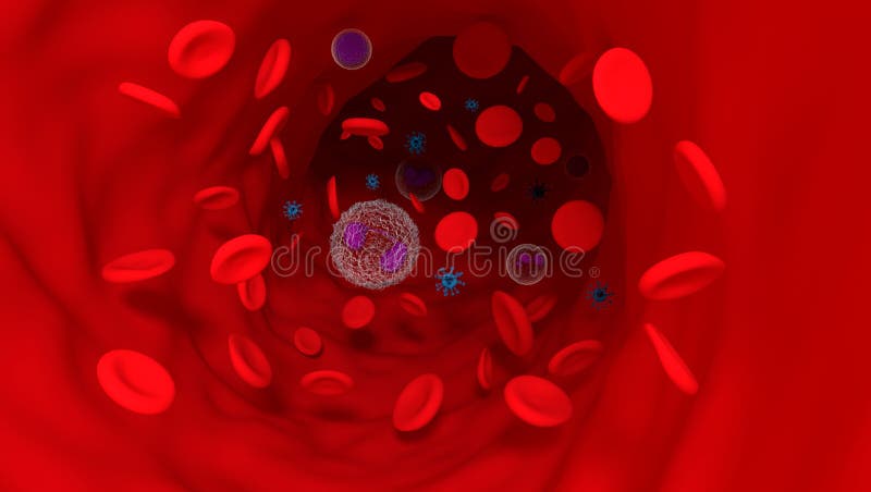 Vaisseau sanguin illustration stock. Illustration du cellule - 99400173