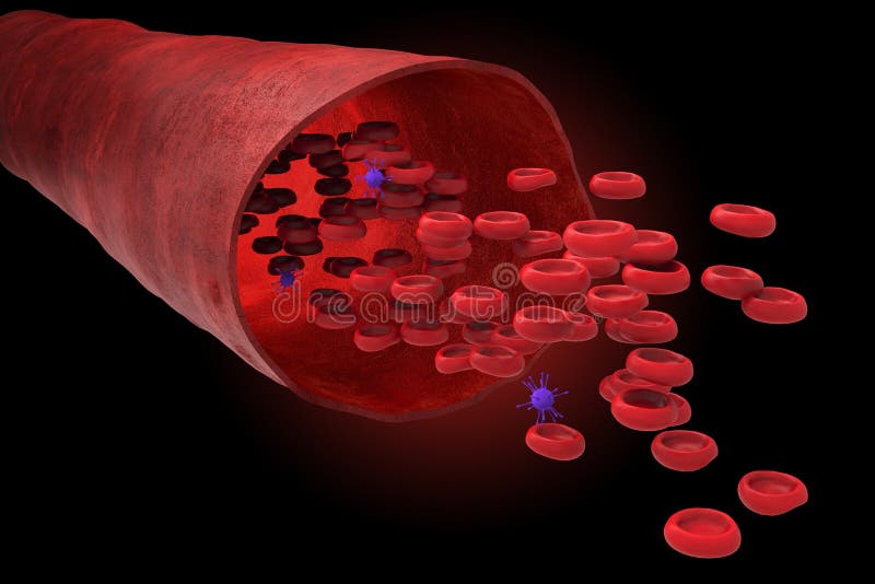 Vaisseau Sanguin Avec Des Bloodcells Illustration Stock - Illustration ...