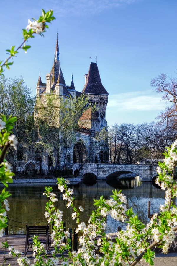 Vajdahunyad Castle with Spring Tree in Budapest, Hungary Stock Image ...