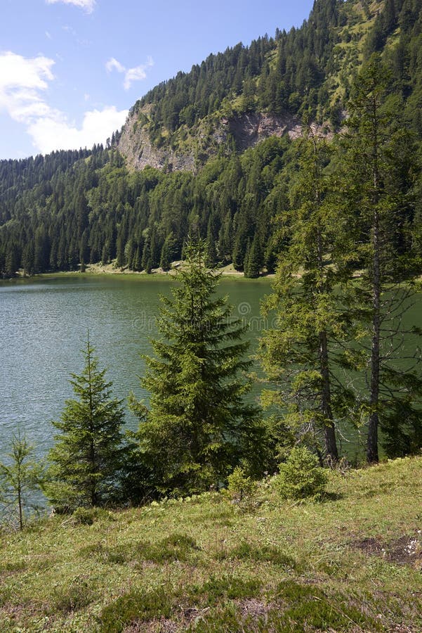 Agola lake stock image. Image of water, tourism, alps - 124601425
