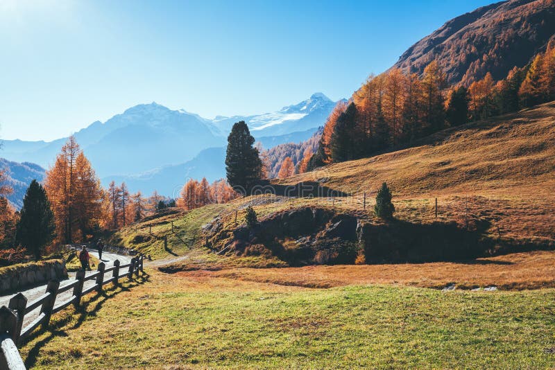 Val Di Campo - Engadina CH - Autumn Stock Image - Image of pines ...