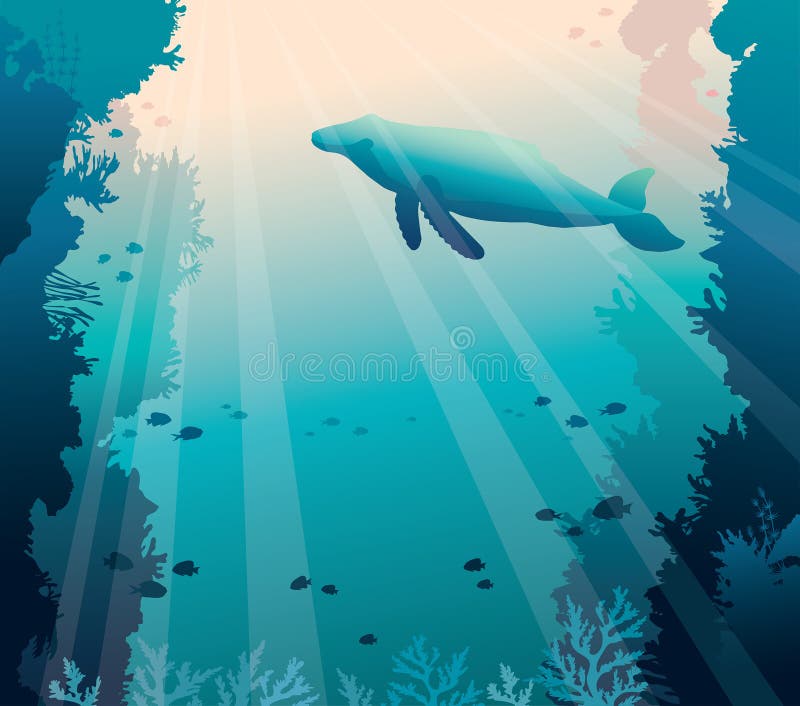 Val, Korallrev Och Hav. Undervattensvektor Vektor Illustrationer ...
