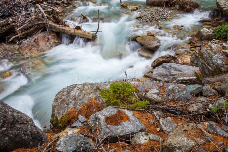 Val Veny, Italy - Alpine Stream II Stock Image - Image of nature, alps ...