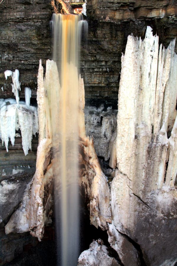 Guillemote Cliffs stock photo. Image of alkefjellet, grille - 1141970