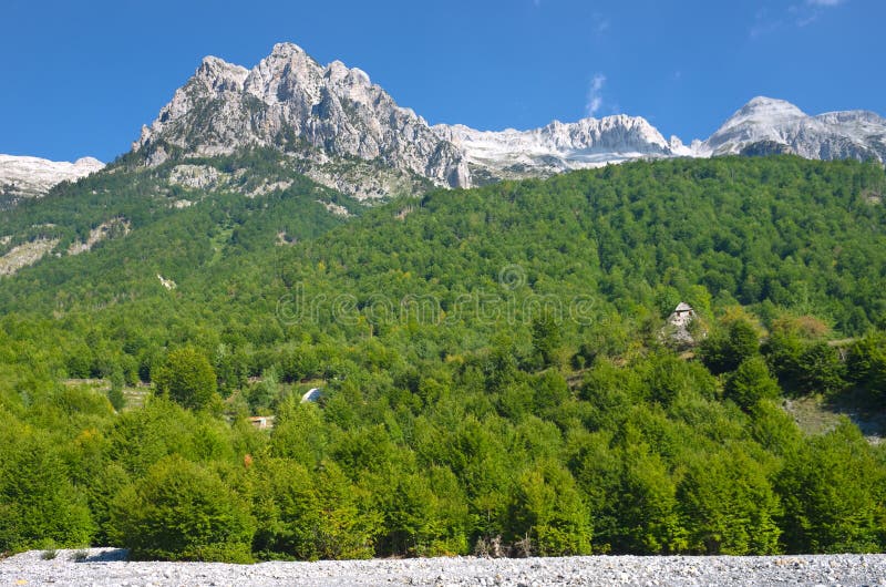 Nationalpark Albanien Valbona-Tales Stockbild - Bild von blume, reise ...