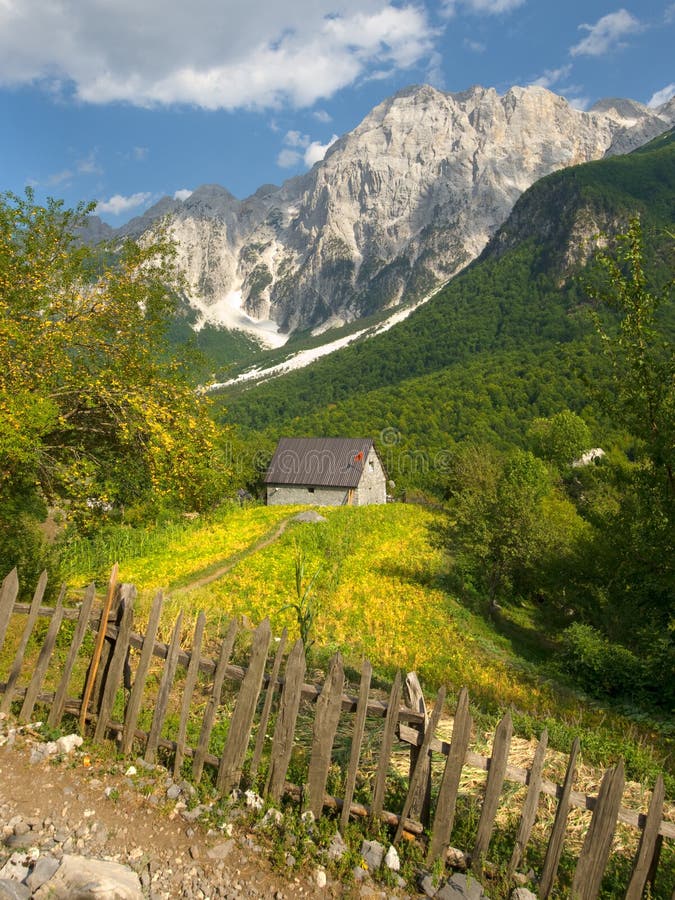 Nationalpark Albanien Valbona-Tales Stockbild - Bild von blume, reise ...