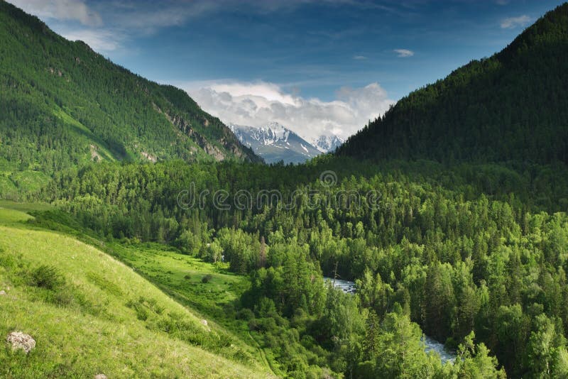 Vale da montanha imagem de stock. Imagem de prospeto, pico - 650857