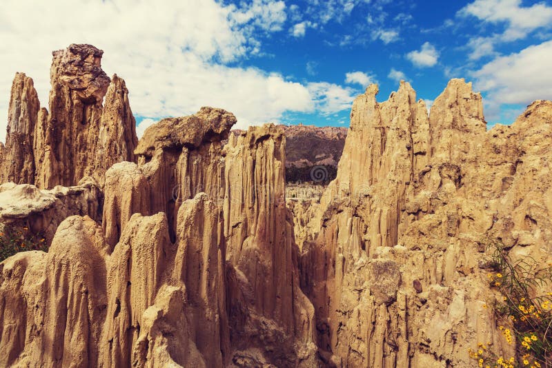 Vale Da Lua No La Paz Bolívia Com Cacto Imagem de Stock - Imagem de ...
