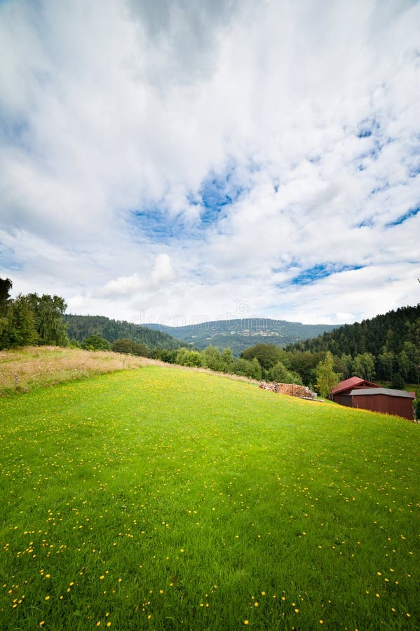Vale verde da montanha foto de stock. Imagem de montanha - 113684150