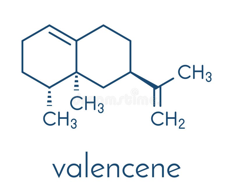 Valencene Citrus Fruit Aroma Molecule. Skeletal Formula. Stock Vector ...