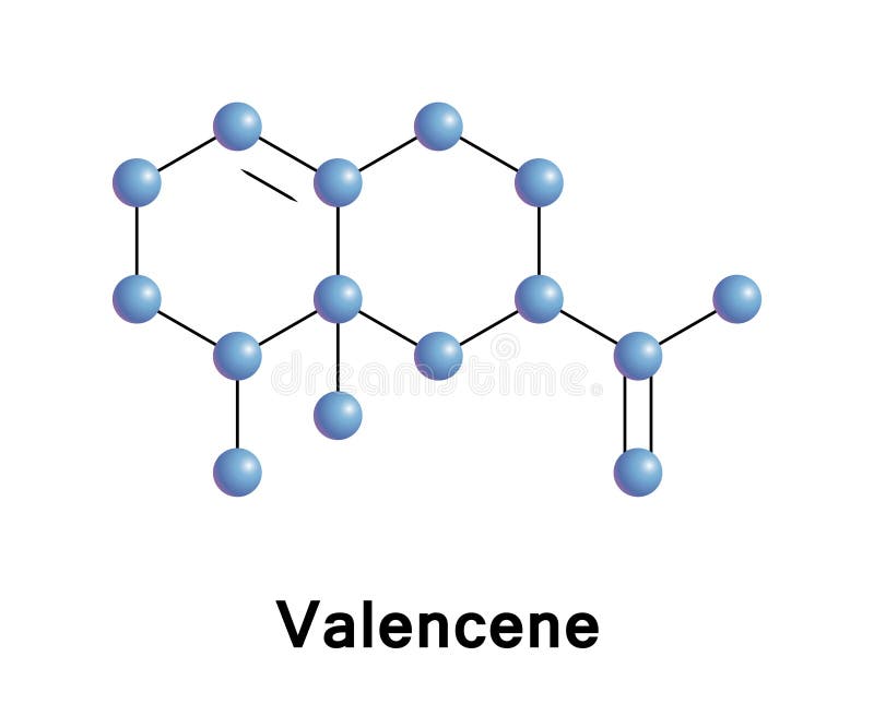 Valencene-Sesquiterpenaroma Stock Abbildung - Illustration von ...