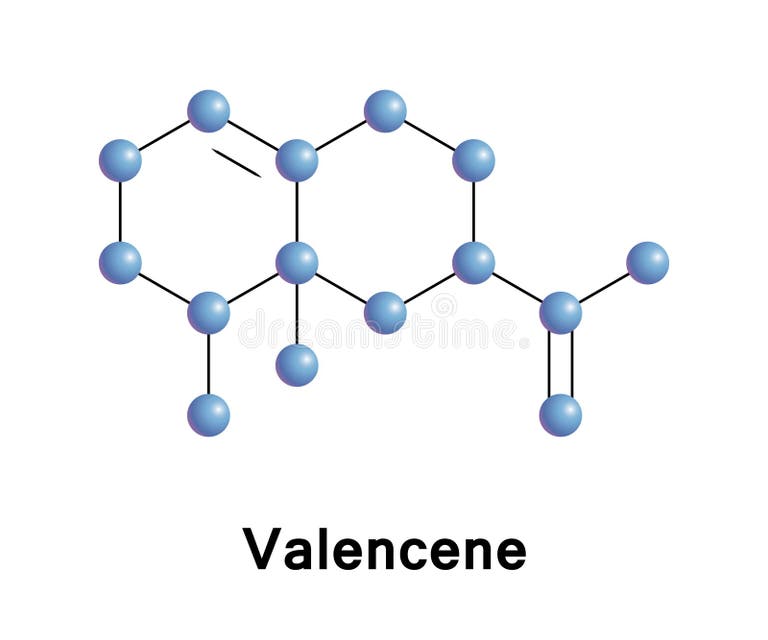 Valencene-Sesquiterpenaroma Stock Abbildung - Illustration von ...