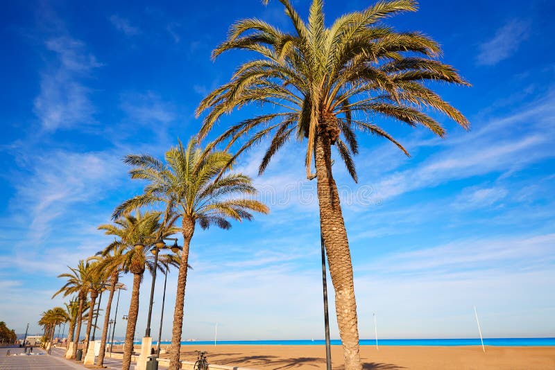 Valencia La Malvarrosa Beach Palm Trees Spain Stock Photo - Image of ...