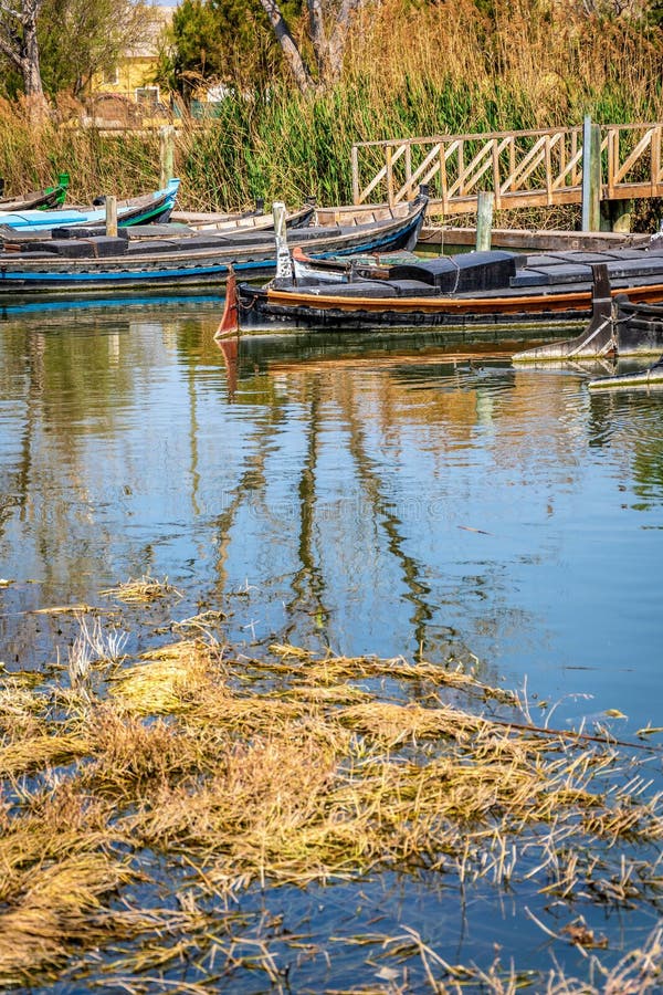 Valencia`s Lagoon on a Warm Spring Day Stock Photo - Image of warm ...
