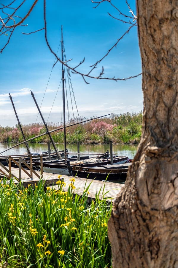 Valencia`s Lagoon on a Warm Spring Day Stock Photo - Image of warm ...