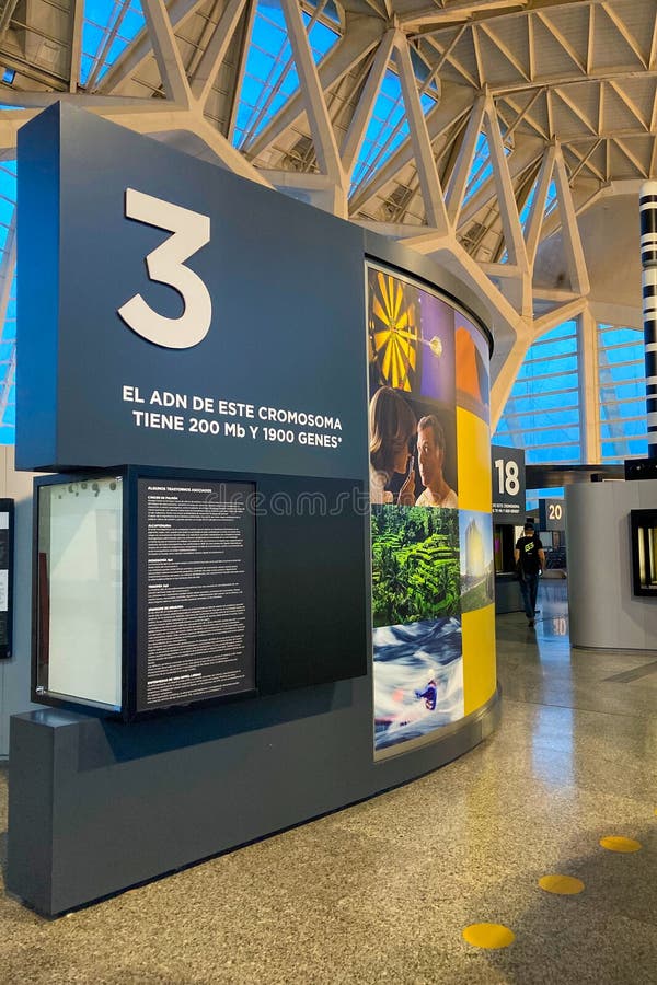 Valencia Science Museum in Valencia, Spain Editorial Stock Photo ...