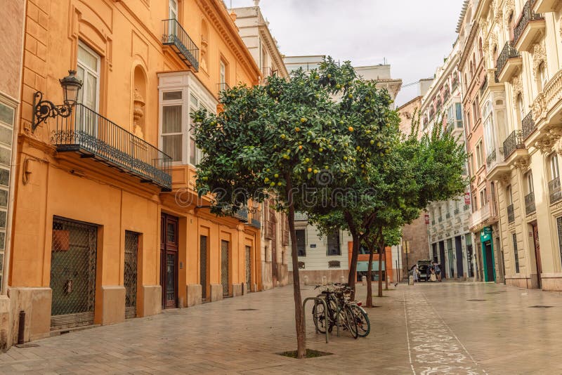 Valencia Spain Square with Lemon or Orange Tree Stock Image - Image of ...