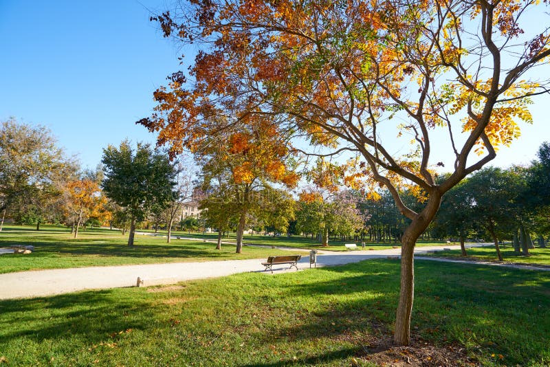 Valencia Turia Park Gardens View Stock Photo - Image of valencian ...