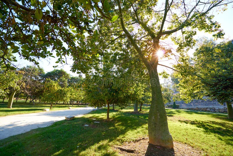 Valencia Turia Park Gardens View Stock Photo - Image of autumn, green ...