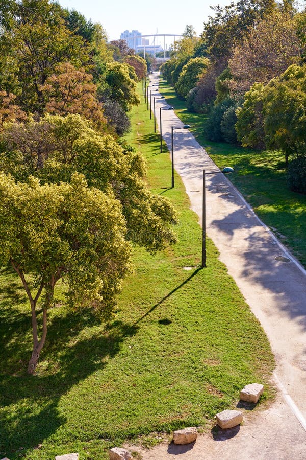 Valencia Turia Park Gardens View Stock Image - Image of detail, nature ...
