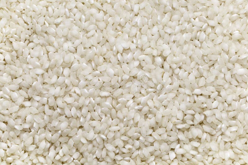 Valencian Bomba Rice for Paella Stock Photo - Image of food, valencian ...