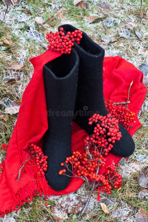 Valenki - Russian Felt Boots Stock Image - Image of culture, cold: 45352695
