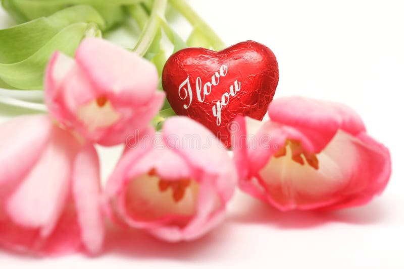 Valentine stock image. Image of rose, relations, pair - 4257549