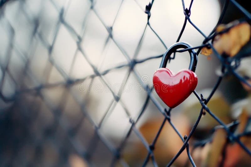 Valentine Heart Padlock Attached To Wire Mesh Fence. Stock Photo ...