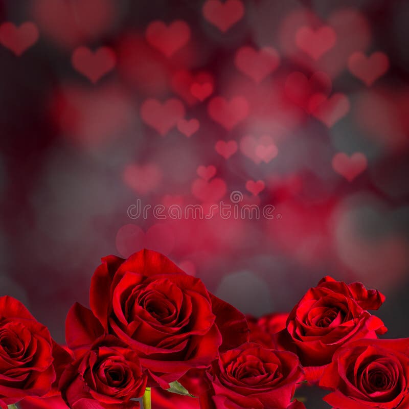 Valentine Red Rose Abstract Background. Stock Image - Image of decor ...