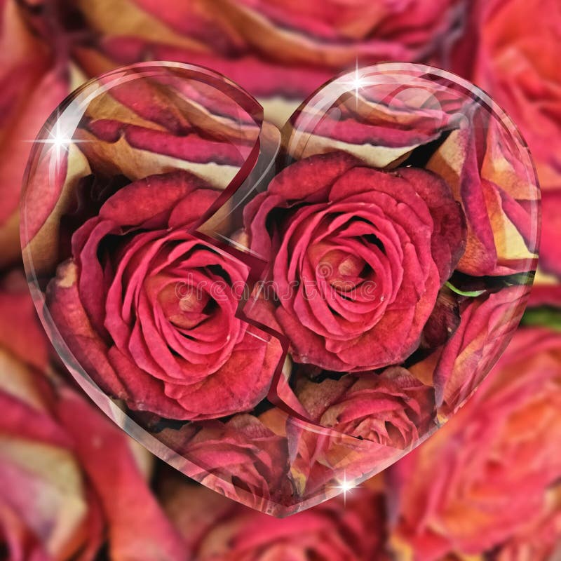 VALENTINE RED ROSES HEART Crystal Stock Photo - Image of rose ...