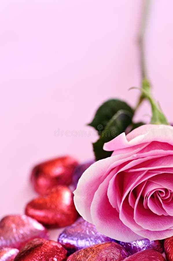 Valentine rose and candy stock photo. Image of food, chocolates - 12253646