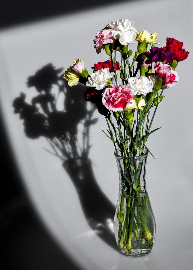 Valentine S Day Flowers in Natural Light and Shadow Stock Image - Image ...